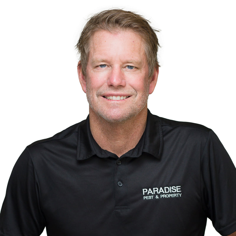 Home [paradisepest.com.au]